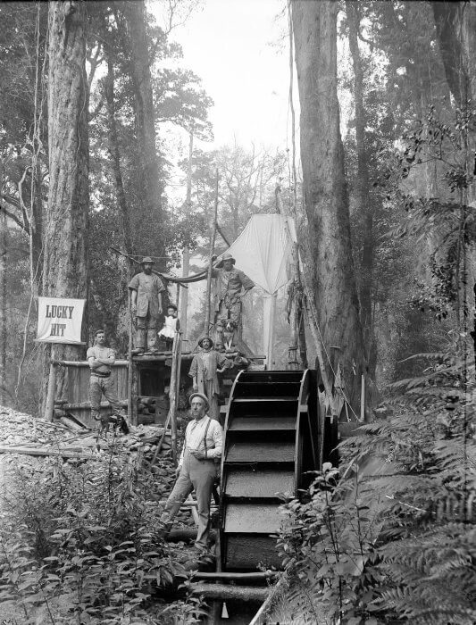 Discover - Endeavour Inlet - Marlborough Marinas