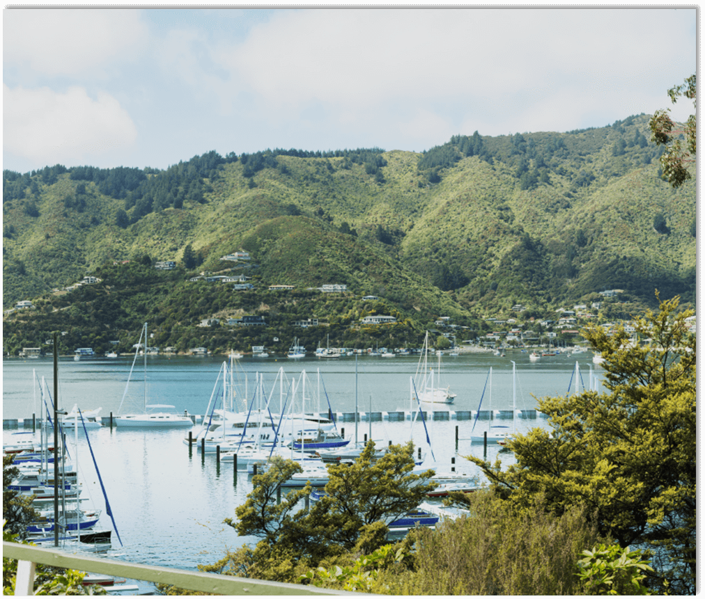 Waikawa Marina extension to progress - Marlborough Marinas