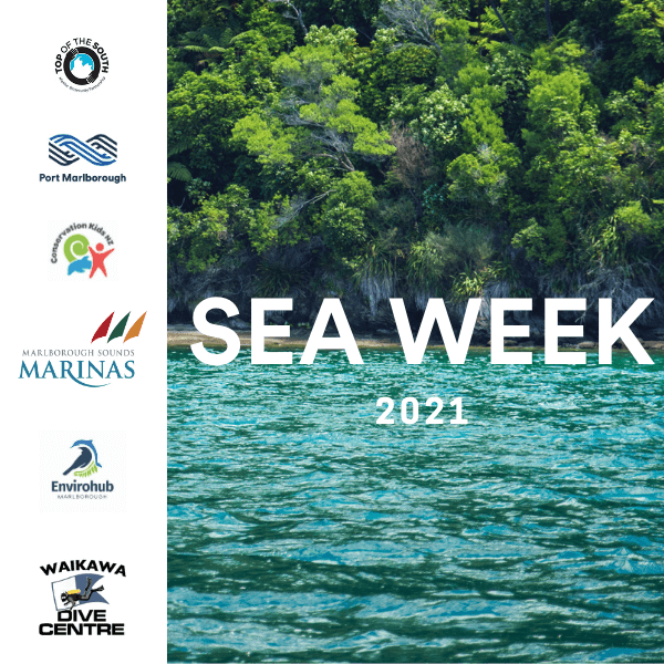 Events for Sea Week 2021 - Marlborough Marinas