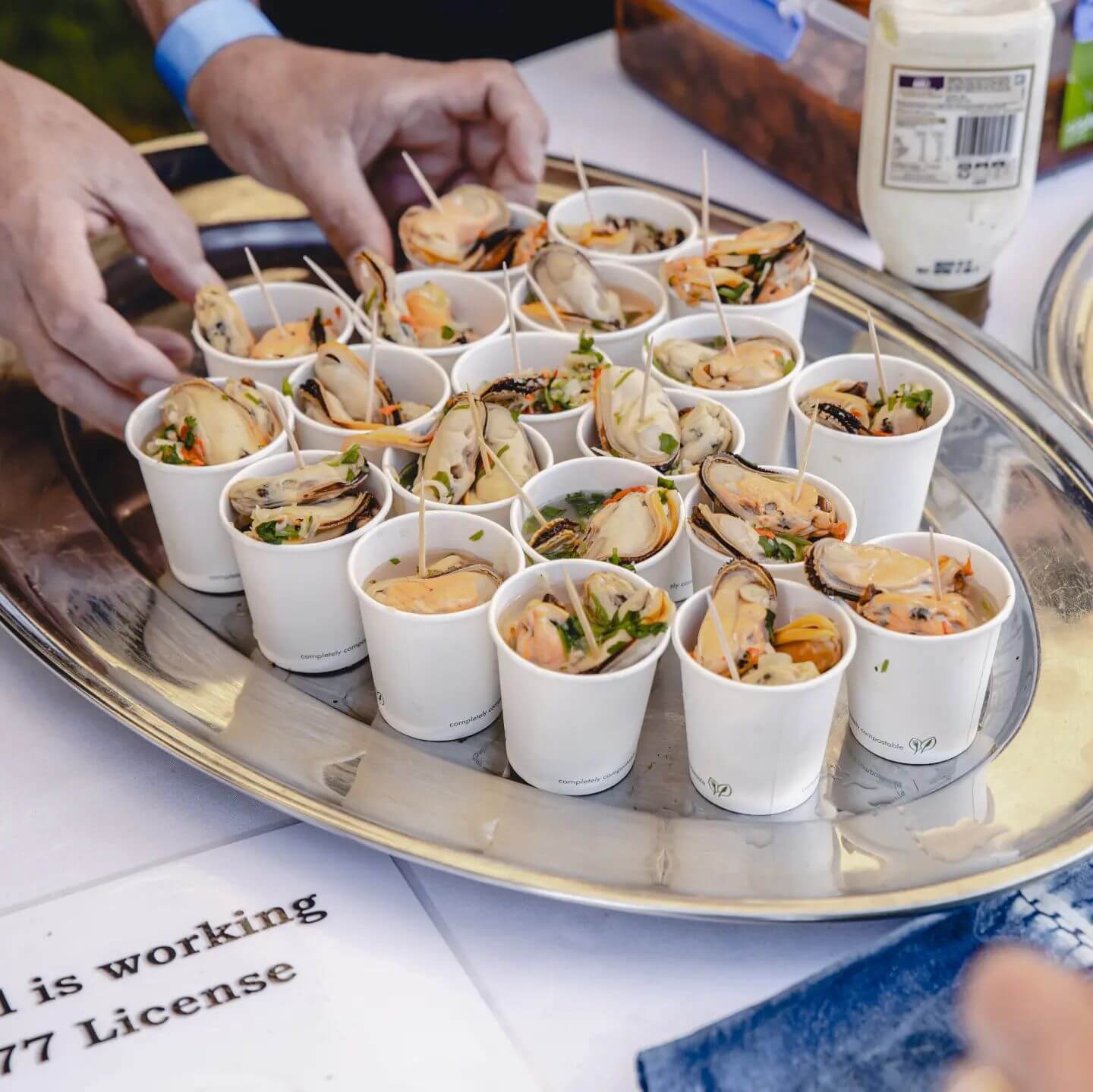 Havelock Mussel Festival 2025 - Marlborough Marinas