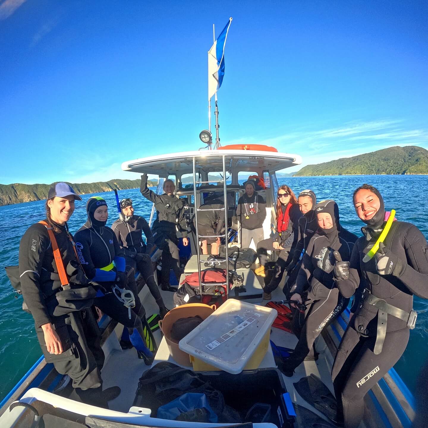 Diving in the Marlborough Sounds - Marlborough Marinas