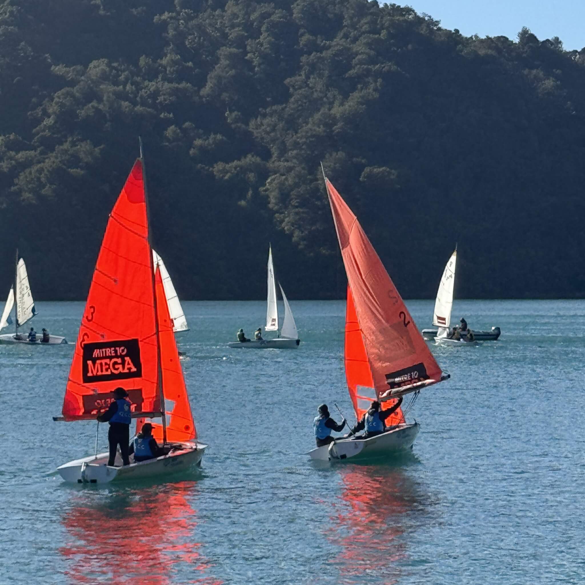South Island Team Sailing Regionals - Marlborough Marinas