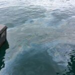 Managing Bilge Water - Marlborough Marinas