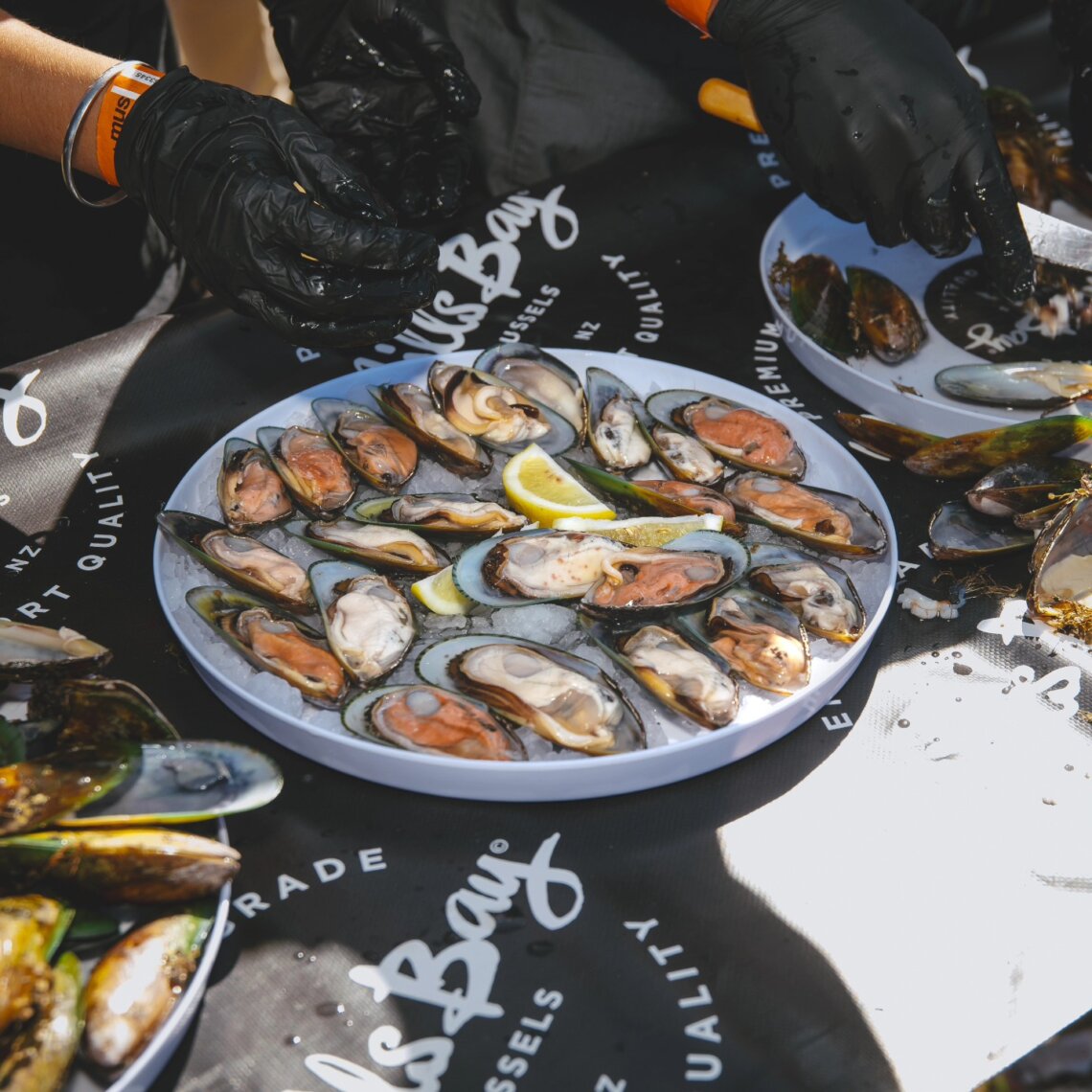 Marlborough Sounds Marinas Proud to Support the Havelock Mussel ...